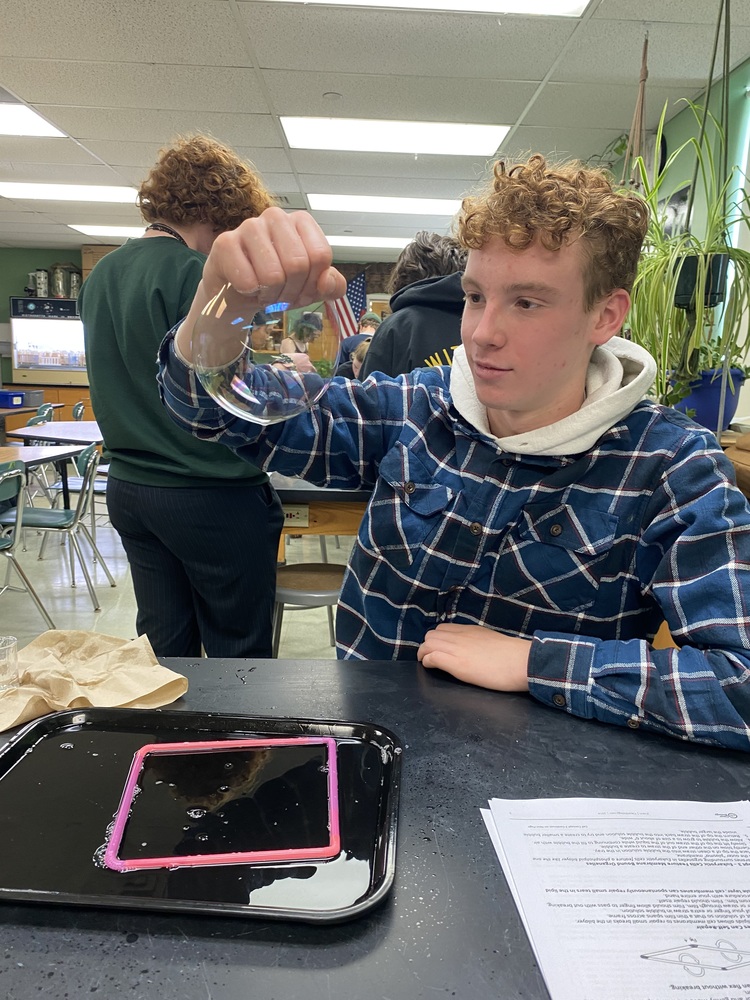 Weekly Administrative Update | Bellows Free Academy